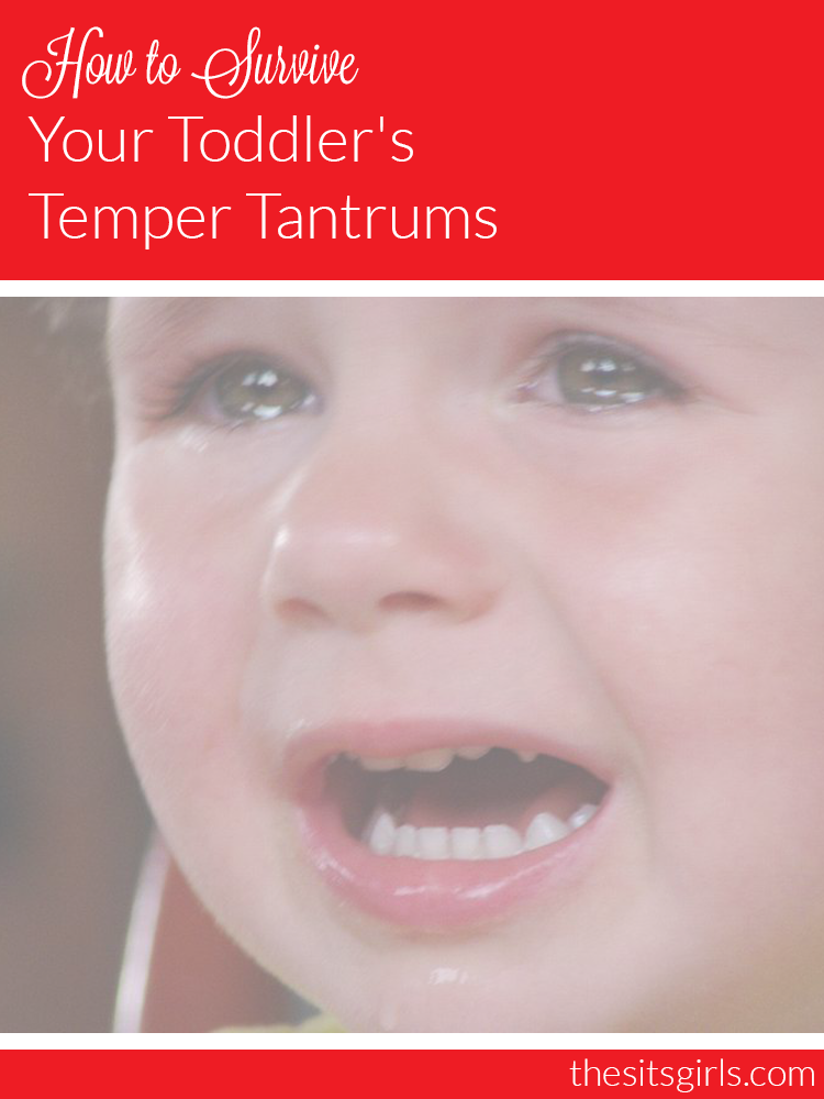 Temper Tantrums How To Survive Temper Tantrums With Your Toddler
