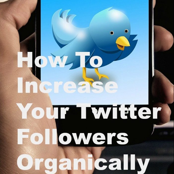 Increase Your Twitter Followers Organically - The SITS Girls Increase Your Twitter Followers Organically - The SITS Girls